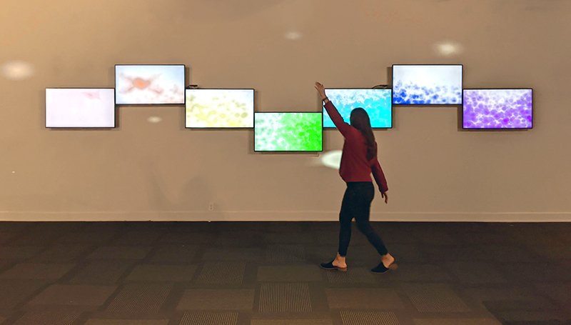 geoffrey hicks – visual artist